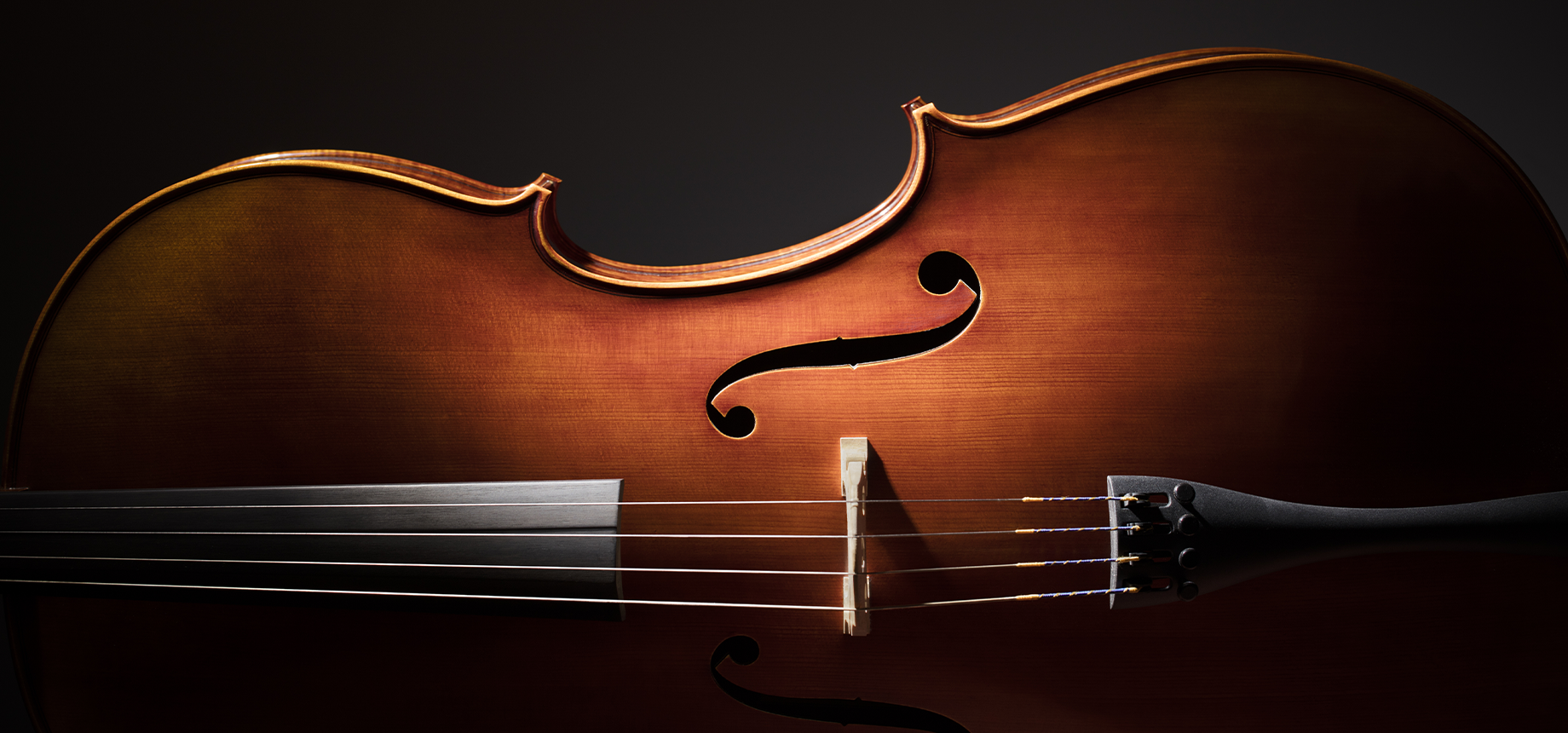 The Cello Project (Stephen Flaherty) - Ahrens + Flaherty